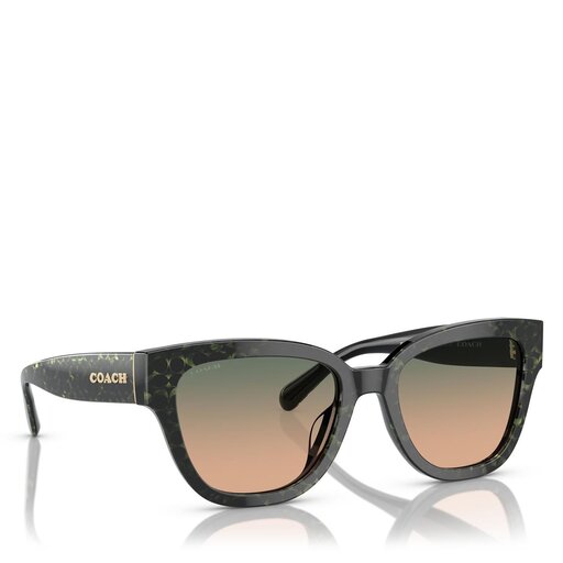 Sonnenbrillen Coach 0HC8379U Braun | eschuhe.de