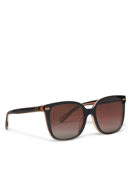 Sonnenbrillen Coach 0HC8381U Schwarz | eschuhe.de