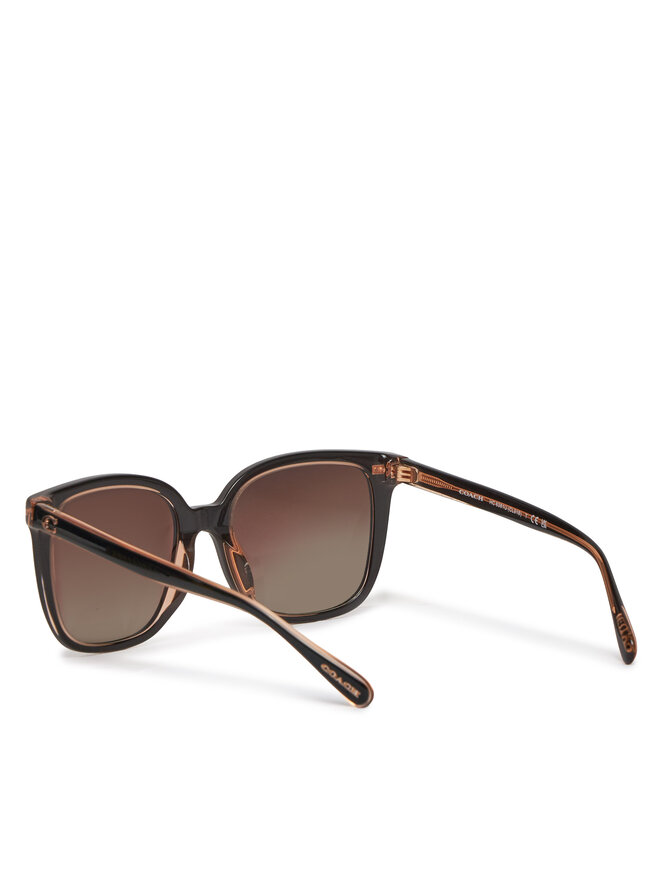 Sonnenbrillen Coach 0HC8381U Schwarz | eschuhe.de