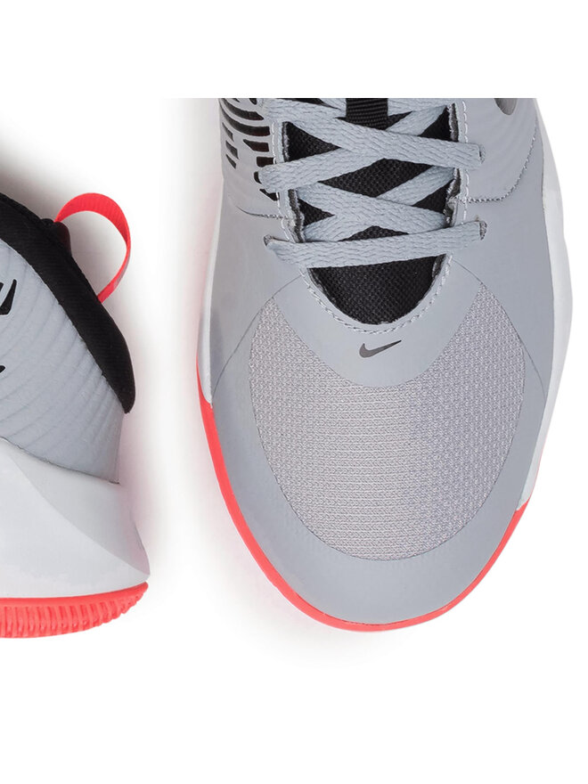 Basketballschuhe Nike Team Hustle D 9 (GS) AQ4224 007 Grau | eschuhe.de