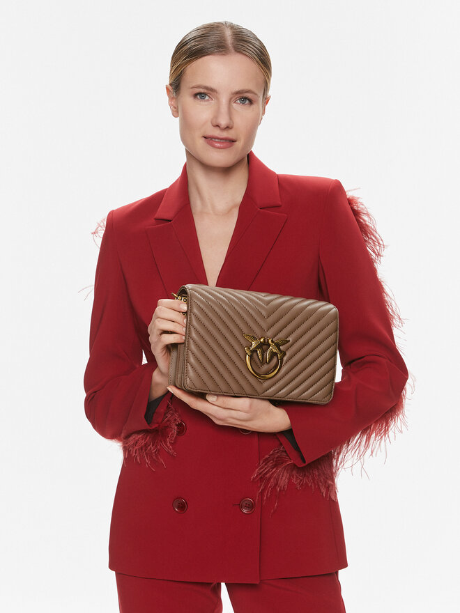 Borsetta Pinko Love Click Classic AI 23-24 PLTT 100063 A0GK Beige ...