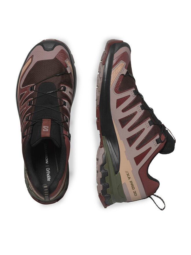 Pantofi pentru alergare Salomon Xa Pro 3D V9 Gore-Tex L47583500 Maro ...