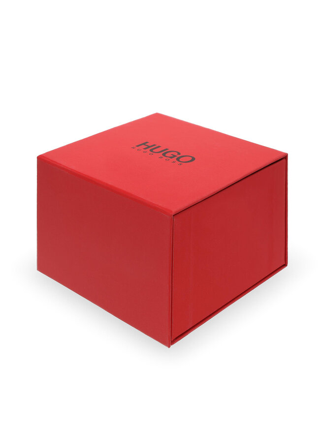 Uhr Boss Skymaster 1513786 Braun | eschuhe.de