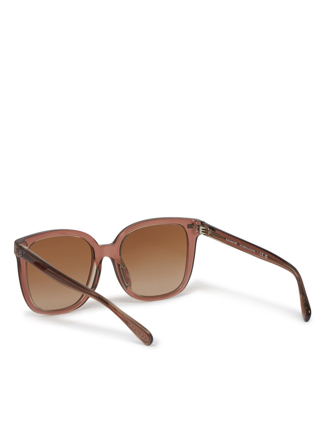 Sonnenbrillen Coach 0HC8381U Braun | eschuhe.de