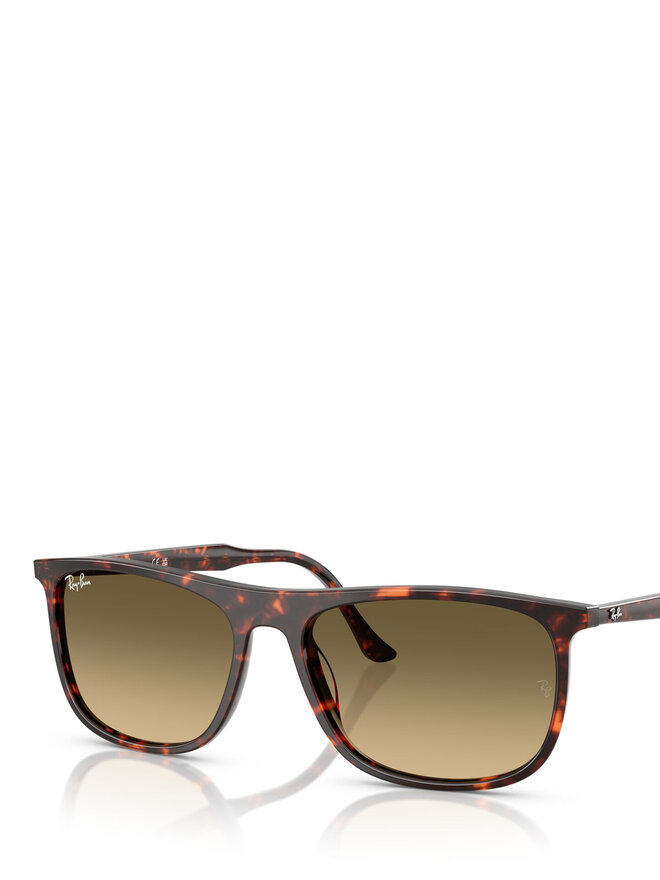 Сонцезахисні окуляри Ray-Ban 0RB2216 Коричневий | evzuttya.com.ua