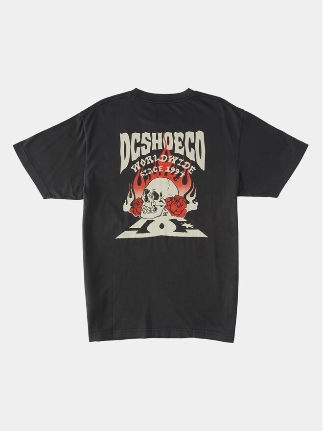 DC Shoes T-Shirt Defiant Tees ADYZT05309 Schwarz Regular Fit | eschuhe.de