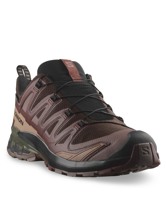 Pantofi pentru alergare Salomon Xa Pro 3D V9 Gore-Tex L47583500 Maro ...
